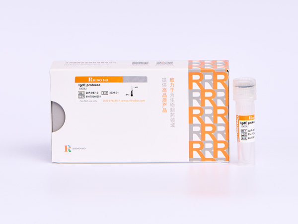 IgdE protease - Enzymes for Antibody Physicoch - 苏州瑞特佰生物科技有限公司