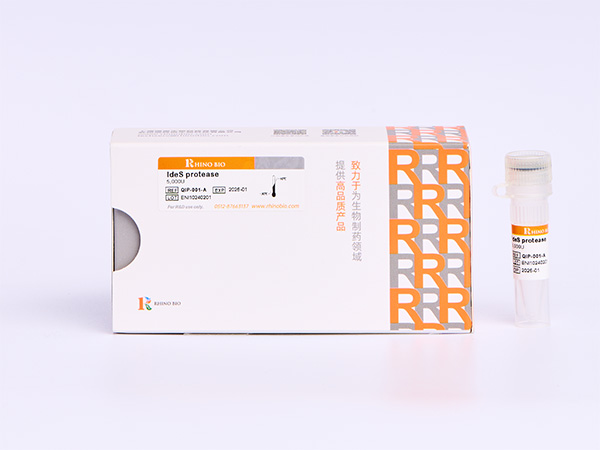IdeS protease - Enzymes for Antibody Physicoch - 苏州瑞特佰生物科技有限公司